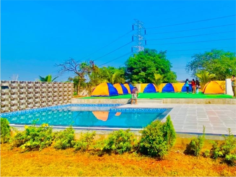 Celebrity Farm | Dream Destination