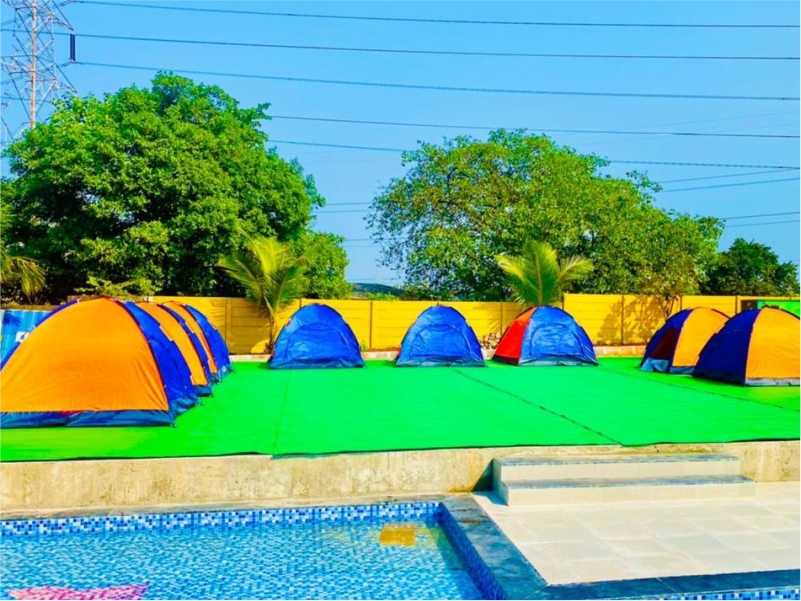 Celebrity Farm | Dream Destination